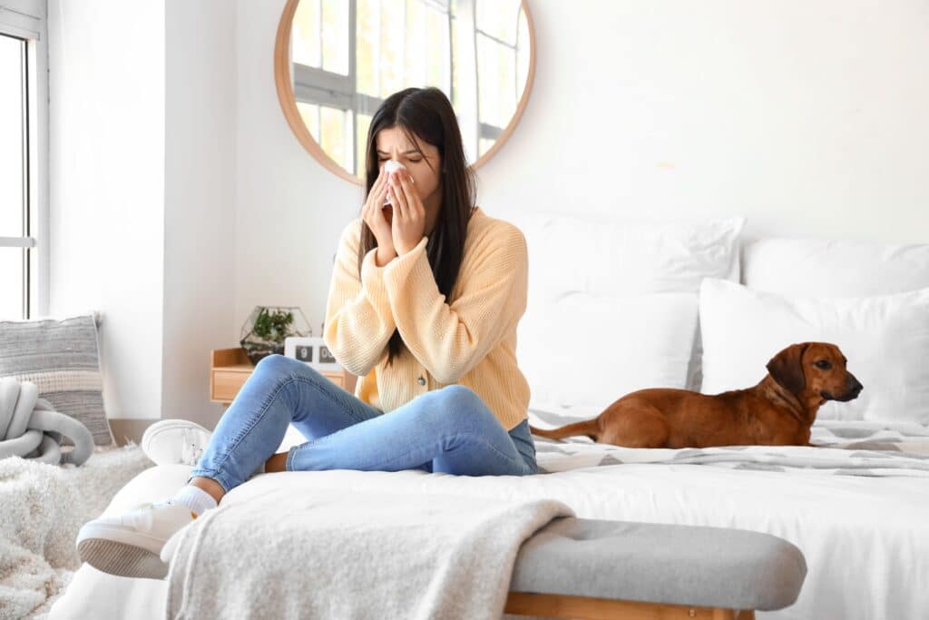 Indoor Allergens: Top 8 Tips To Keep Your Home Allergy-Free! - McGovern ...
